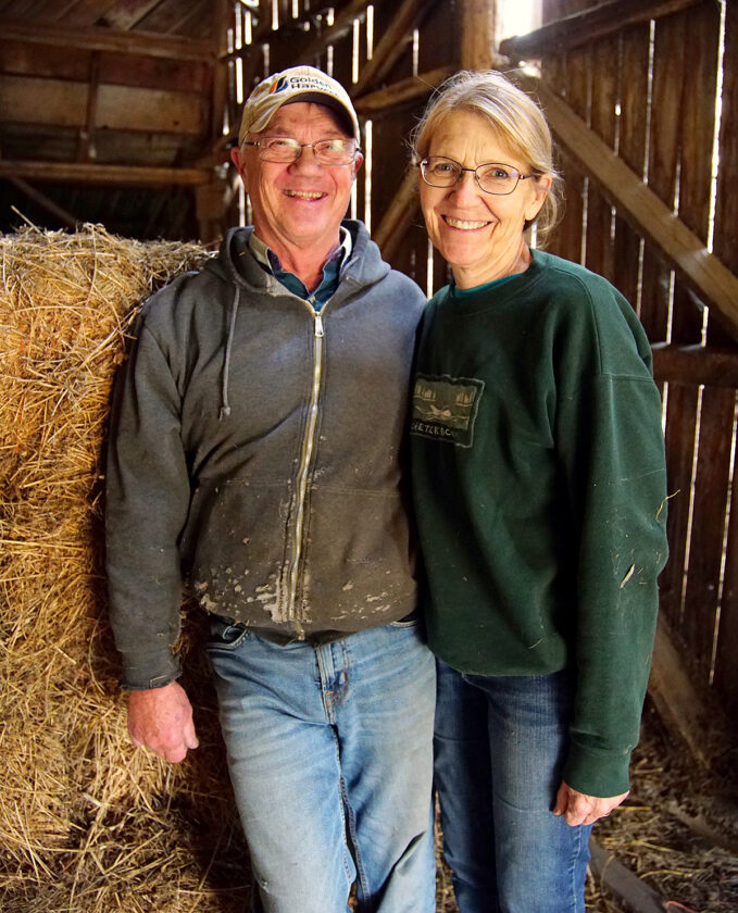 Redig barn a place for cows, cats, and kids | News, Sports, Jobs - Farm ...